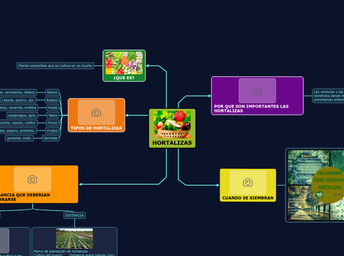 Hortalizas Mind Map
